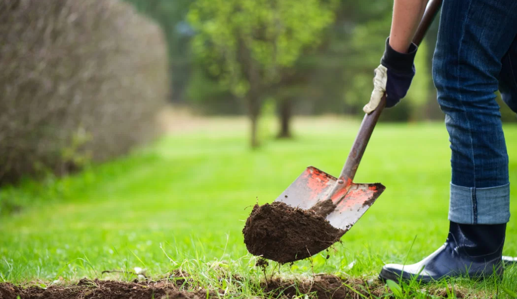 What to Use to Fill Holes in Yard: A Comprehensive Guide - My Heart ...