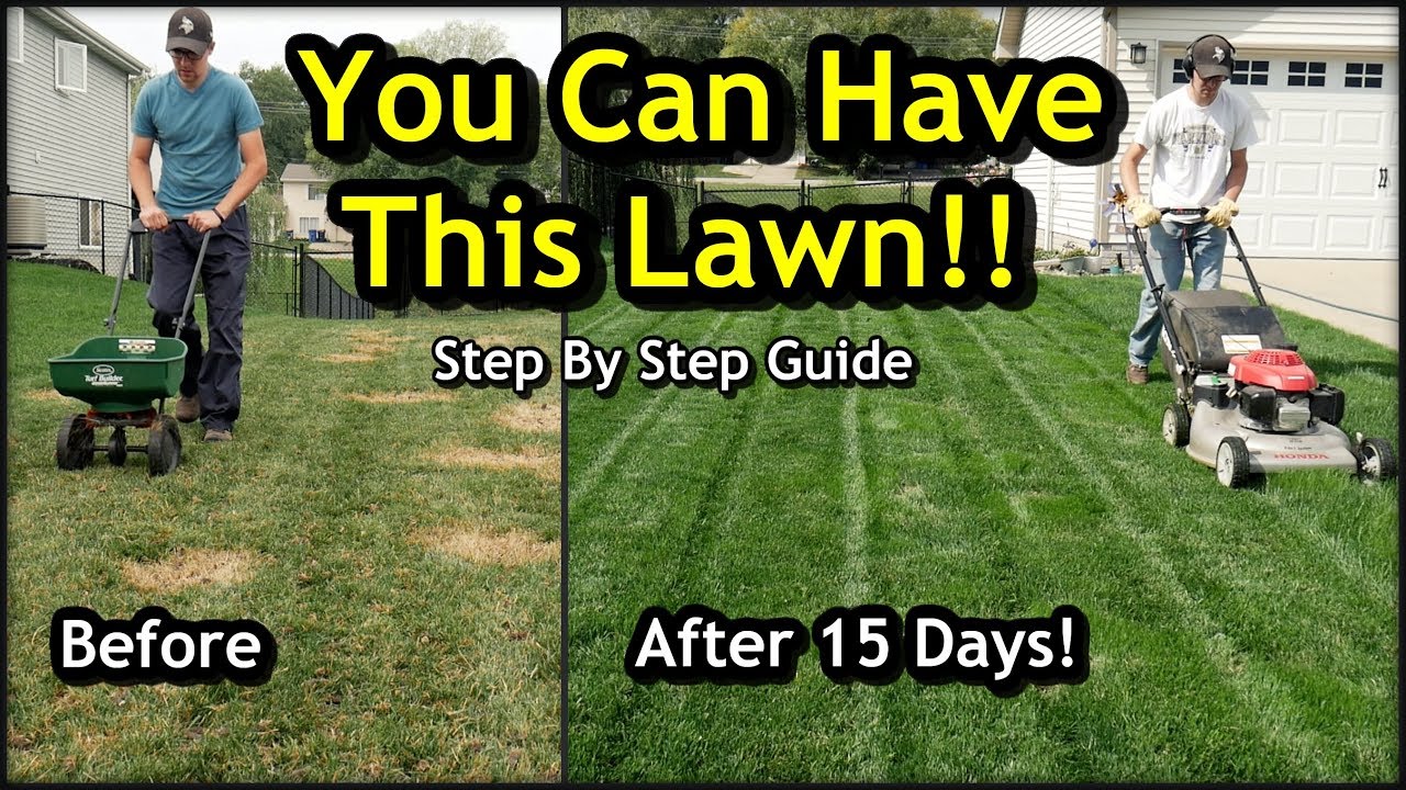 Can I Mow After Overseeding