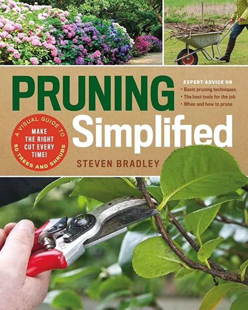 How to Tame Your Overgrown Hydrangea Tree: A Step-by-Step Guide. - My ...